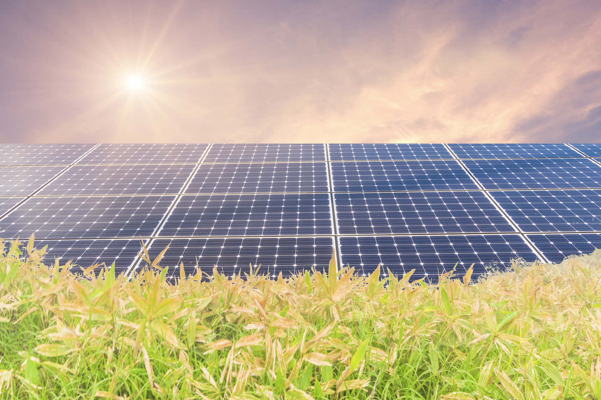 New Solar Power AC Module Features LG Integrated Microinverter | EnergyTech