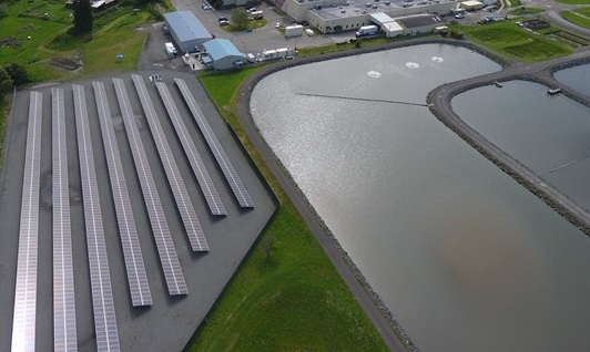 Siemens deploying Microgrid for Qatar Solar panel production plant ...