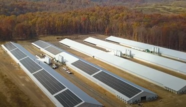 West Virginia poultry farm gains 1,400-panel Solar Energy site | EnergyTech