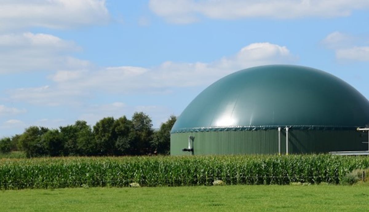 FPU Renewables plans RNG at Florida Dairy Farm | EnergyTech