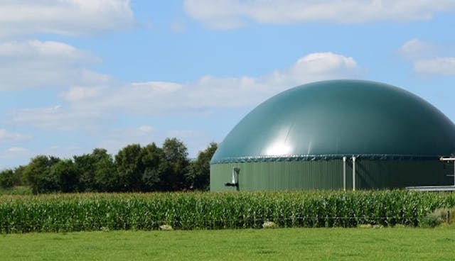 FPU Renewables plans RNG at Florida Dairy Farm | EnergyTech