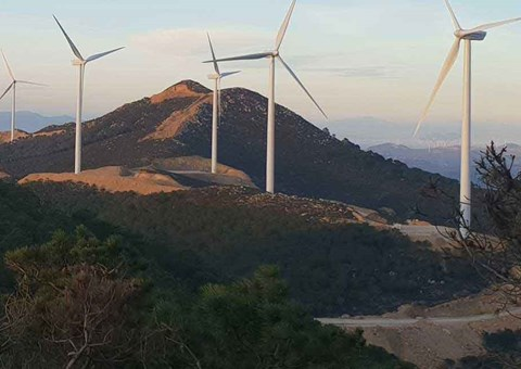 ACWA Power to Construct 10 GW Wind Power Plant in Egypt | Energy Tech