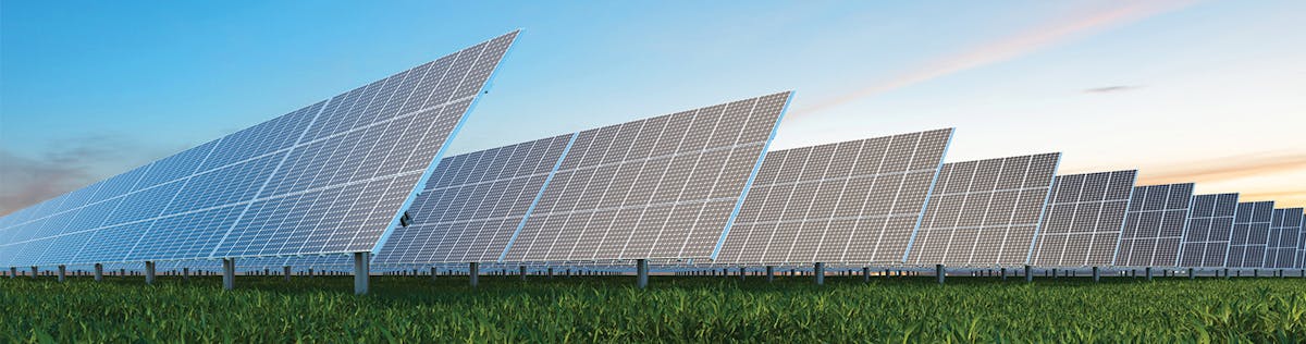 Avangrid Constructing 240MW Texas Solar Farm to Power Meta Facility ...