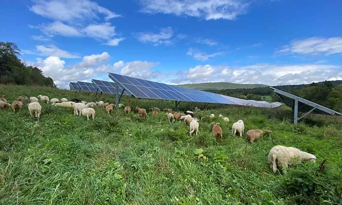 Green Street Power Partners Completes 26 MW DC Solar Project in ...