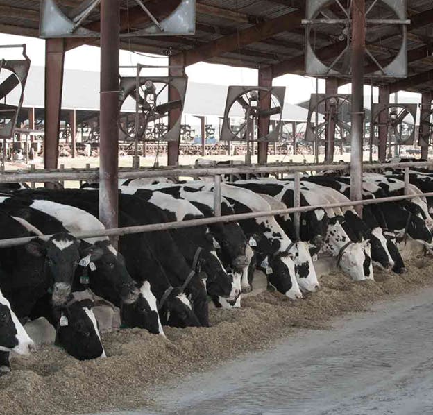 Chesapeake Utilities says RNG production Started at Full Circle Dairy ...